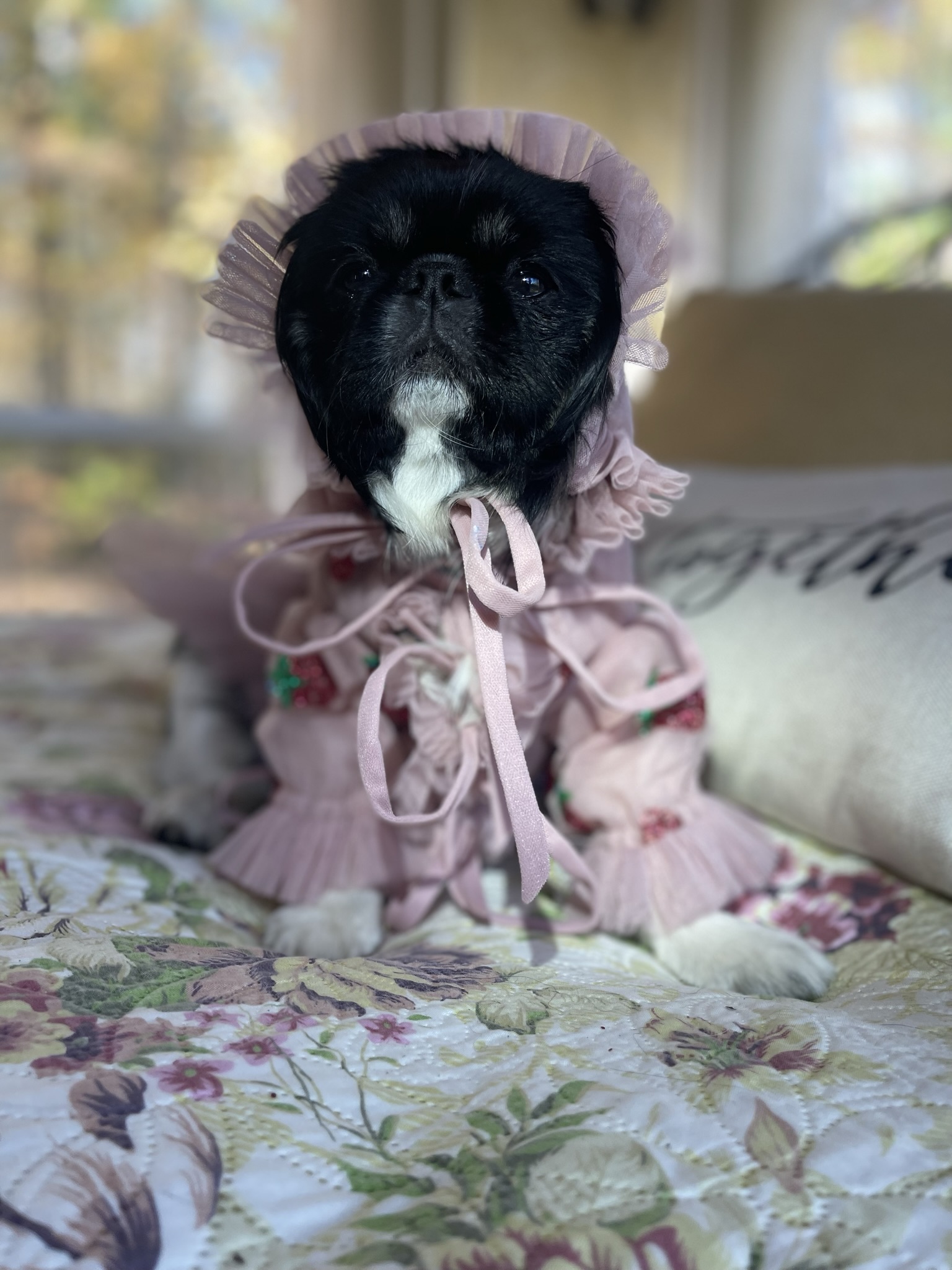 Popsicle - Furry People Productions