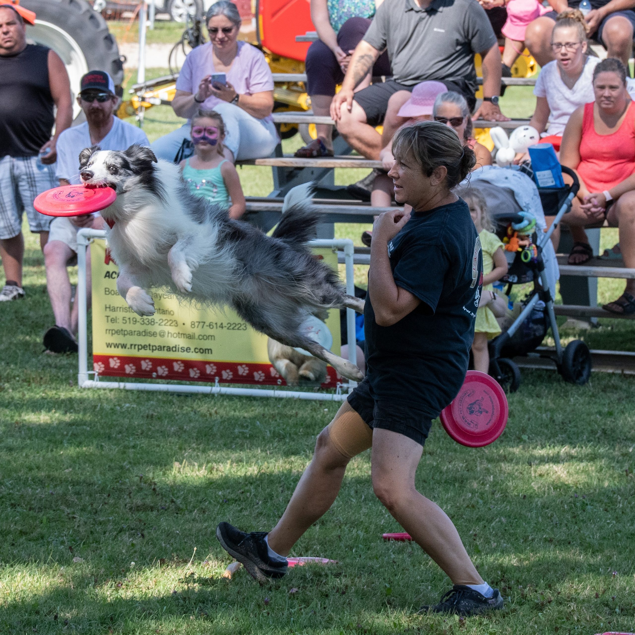 Vector - Furry People Productions