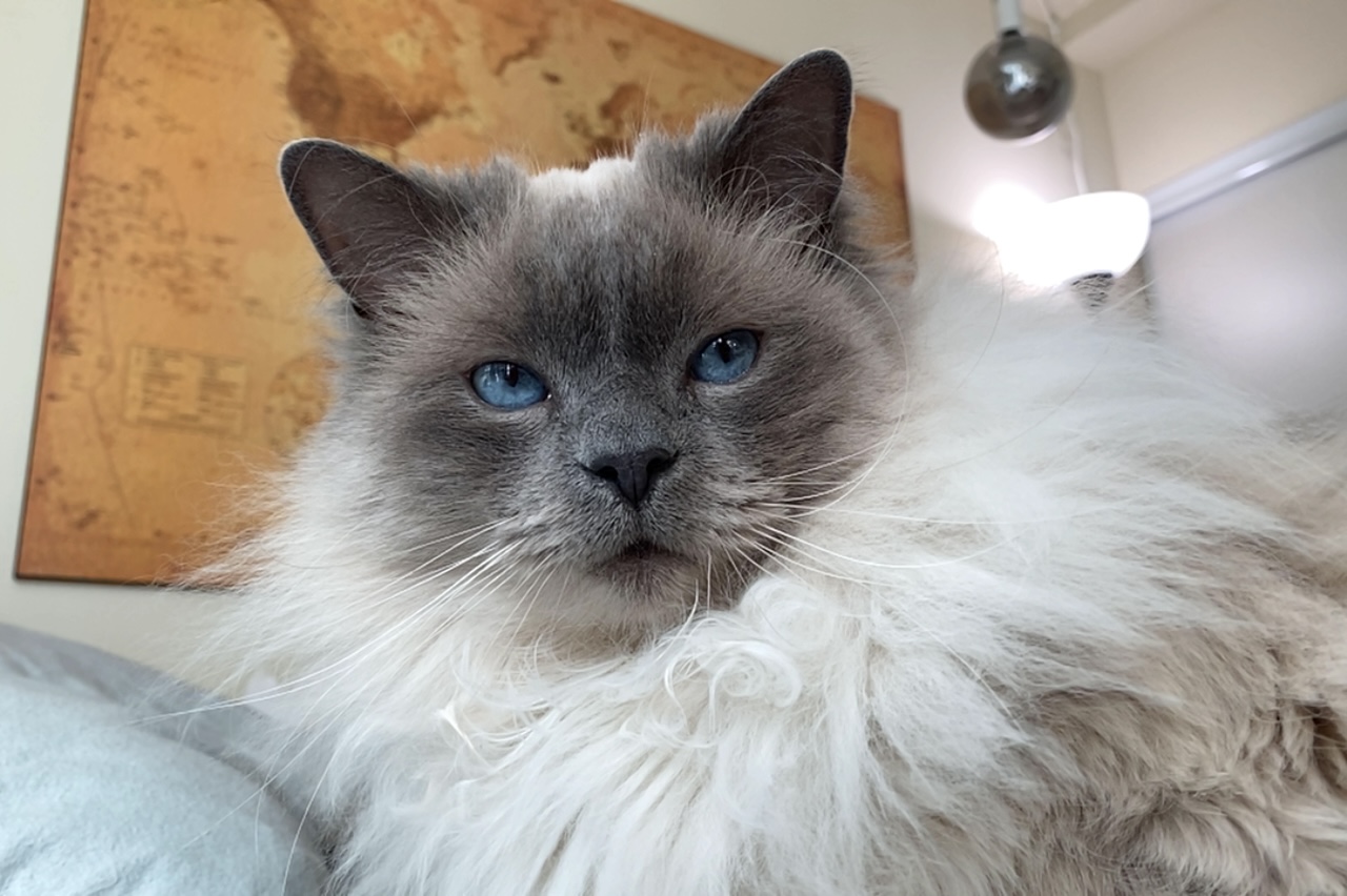 Tuna - Furry People Productions