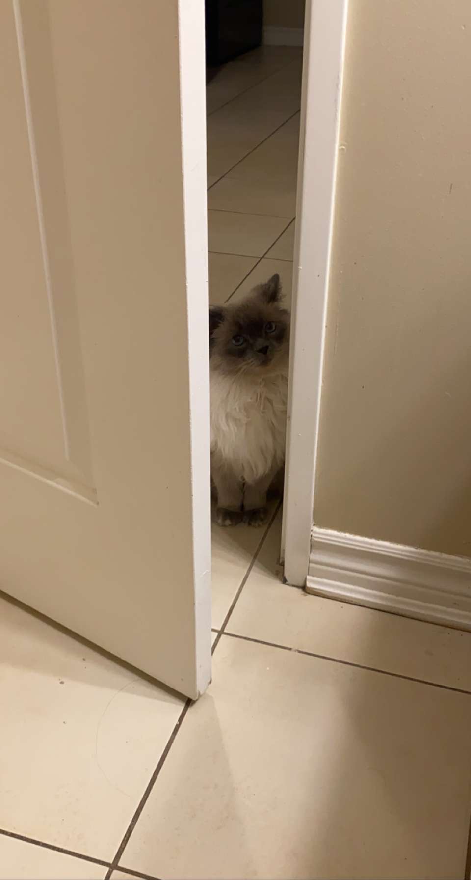 Tuna - Furry People Productions