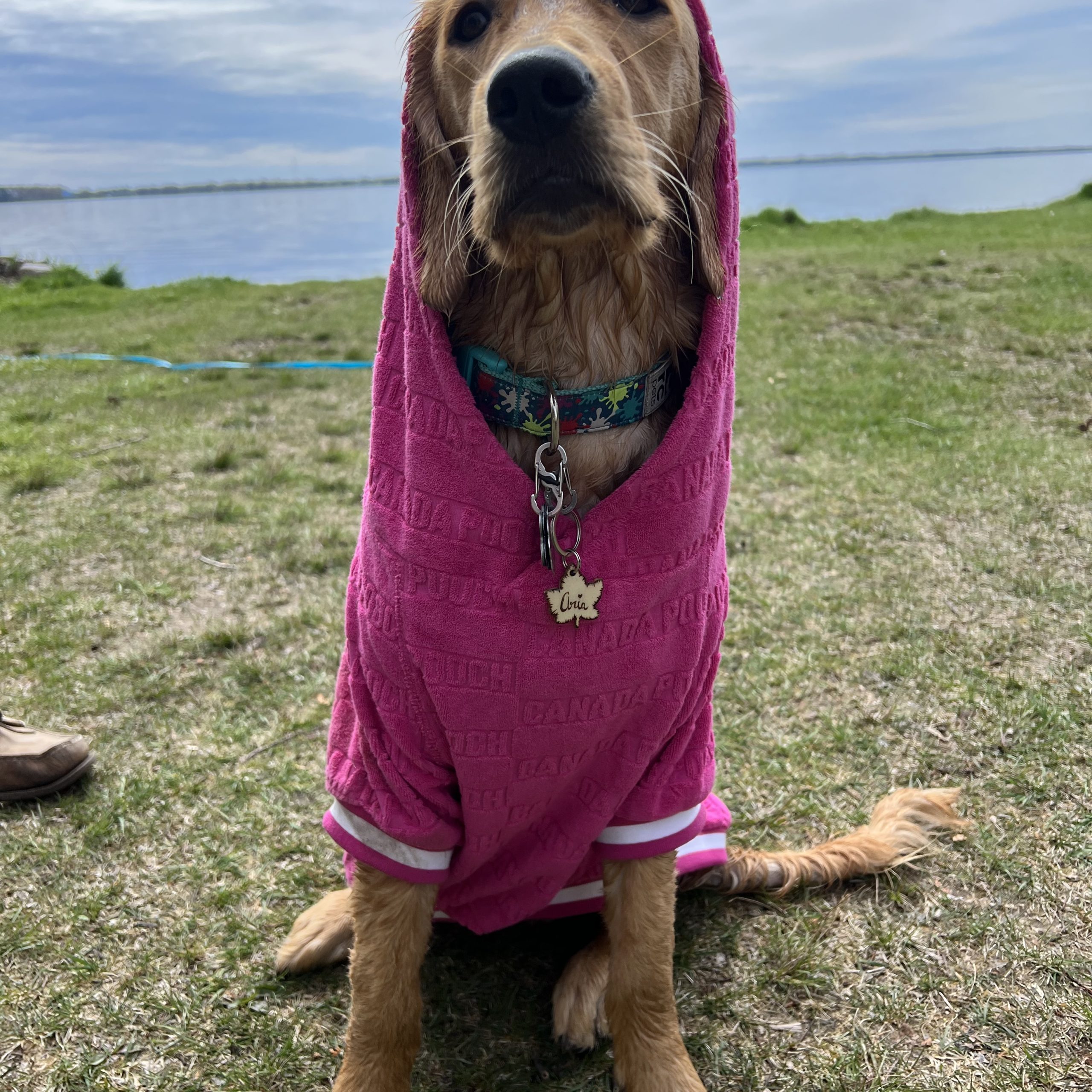 Aria - Furry People Productions