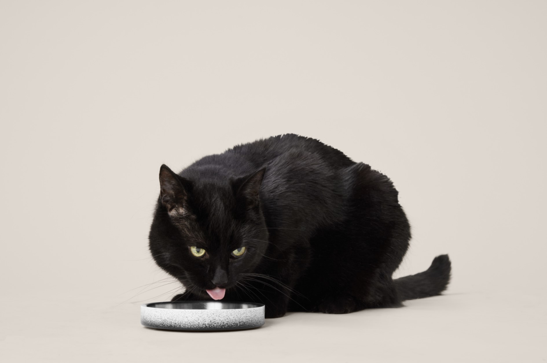 Pepper - Furry People Productions