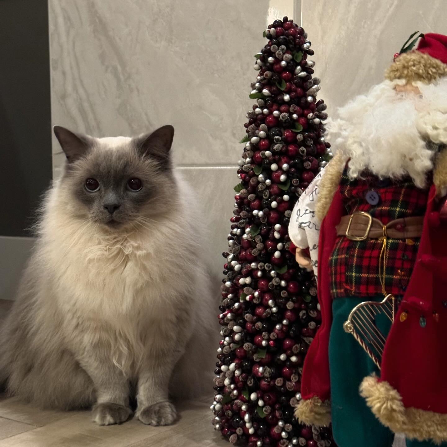 Tuna - Furry People Productions