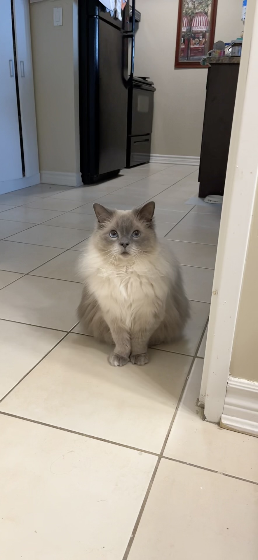 Tuna - Furry People Productions
