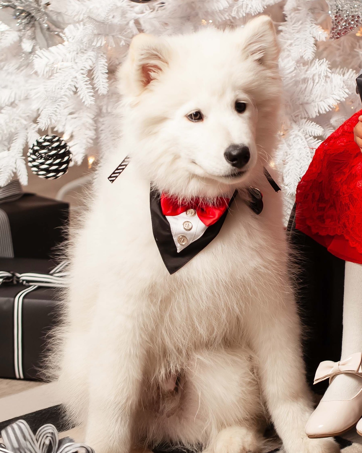 Olaf - Furry People Productions