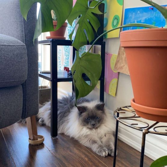 Tuna - Furry People Productions