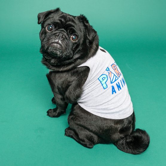Cricket - Furry People Productions