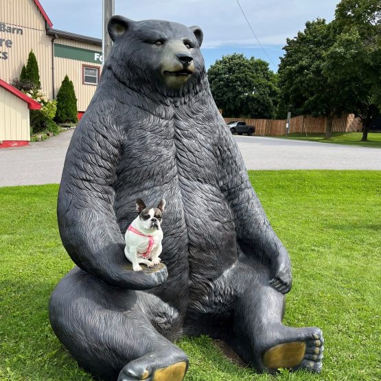 Isabelle (Izzy) - Furry People Productions