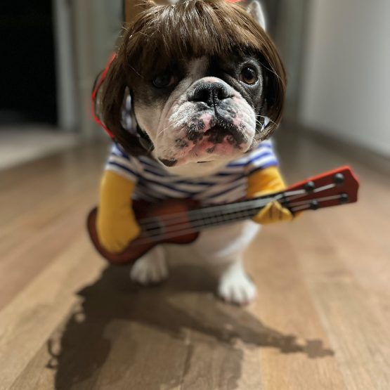 Isabelle (Izzy) - Furry People Productions